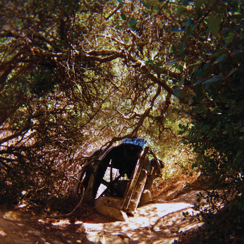 Ty Segall announces new album and tour, shares lead single