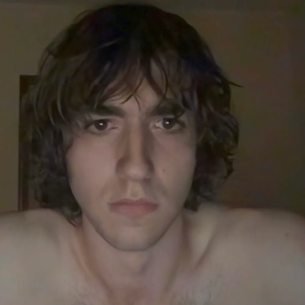 geese - The Needle Drop