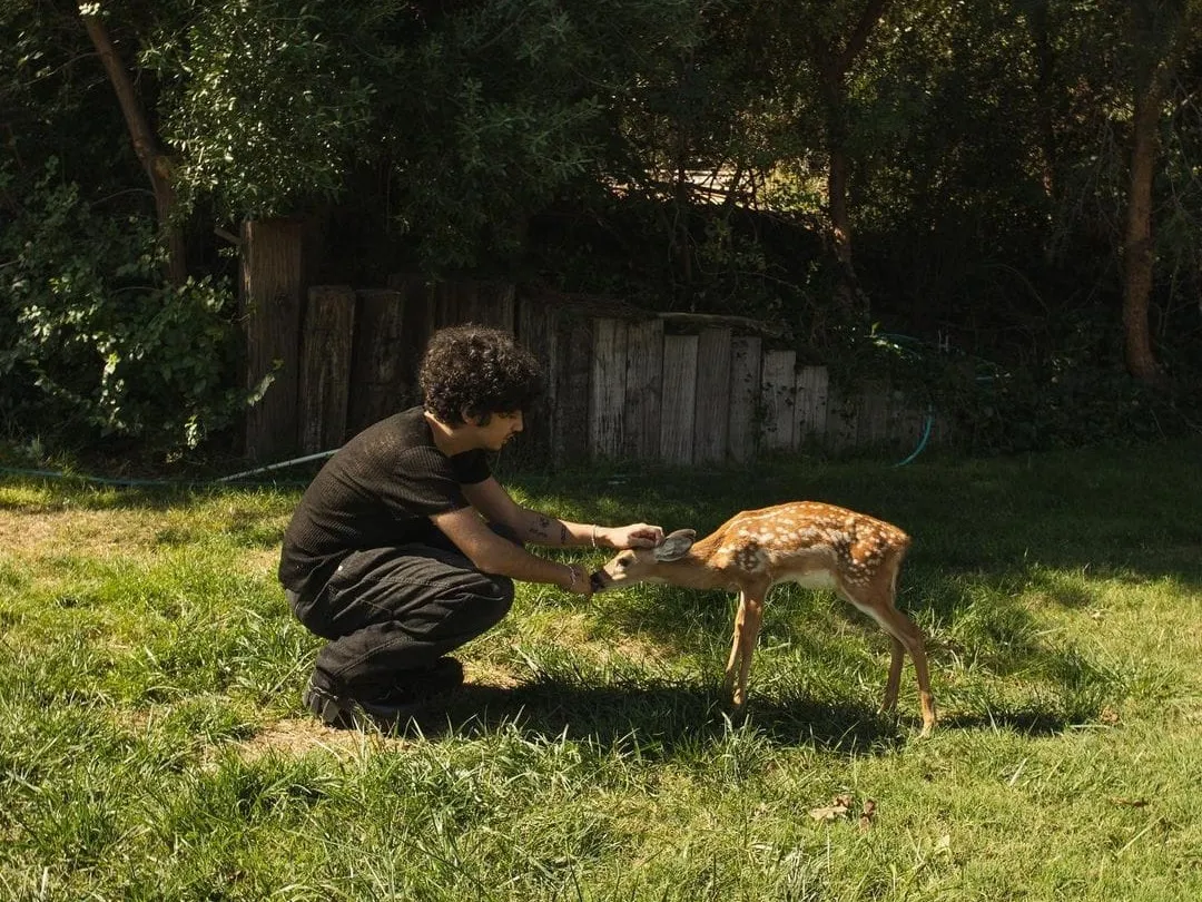 ericdoa - The Needle Drop